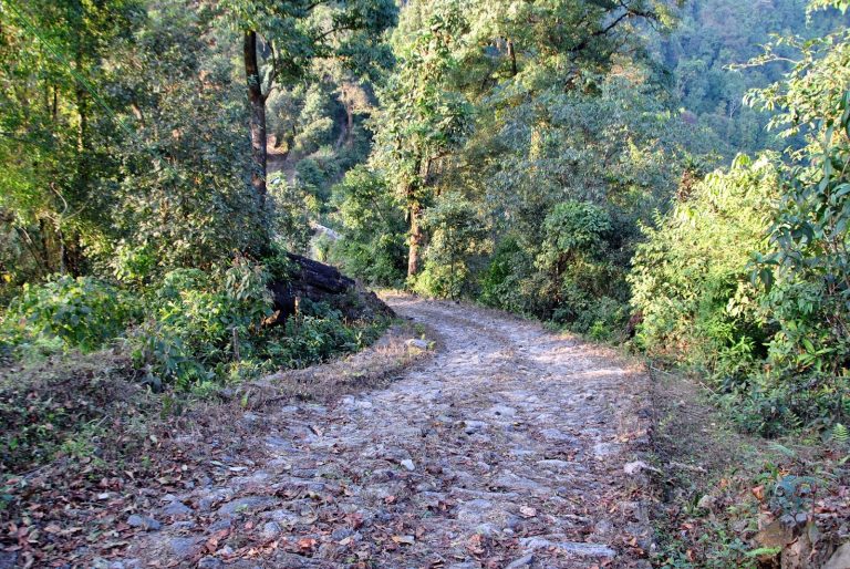 Top 10 Places to Visit in Dooars, West Bengal