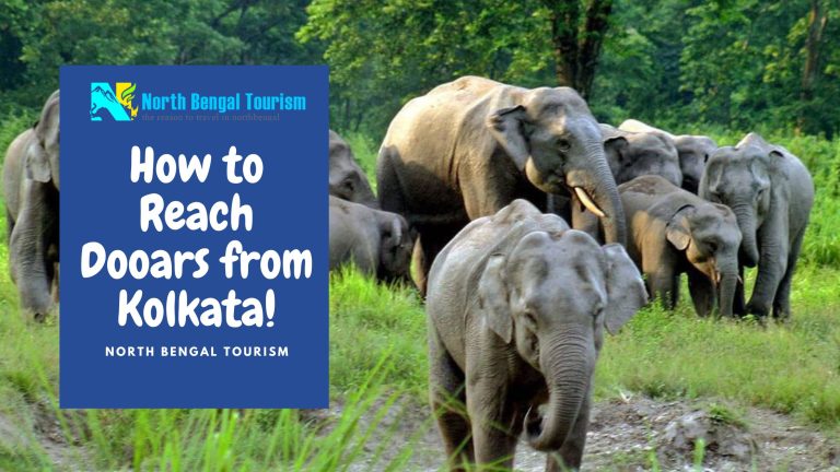 How to Reach Dooars from Kolkata | By Road, By Air, By Train