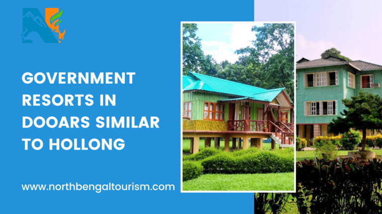 Best Government Resorts in Dooars Like Hollong (Book Now)