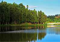 Mirik Darjeeling, Tourist Places to Visit in Mirik - North Bengal Tourism