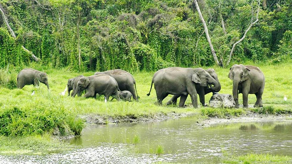 Alipurduar District West Bengal, Tourism in Alipurduar, Tourist places ...