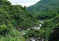 Damdim, Damdim Tea Estate, Tourist interest places around Jalpaiguri ...