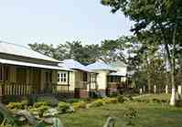 Hollong Dooars, Hollong tourist lodge, Forest Reserve in Jaldapara ...