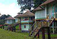 Lepchakha Tour - Complete Travel Guide of this Beautiful Village in Dooars