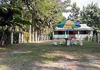 Madarihat, Madarihat (Jaldapara National Park) Dooars, Madarihat ...