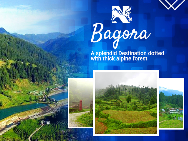 Bagora Kurseong- Know What to Expect in this Serene Village