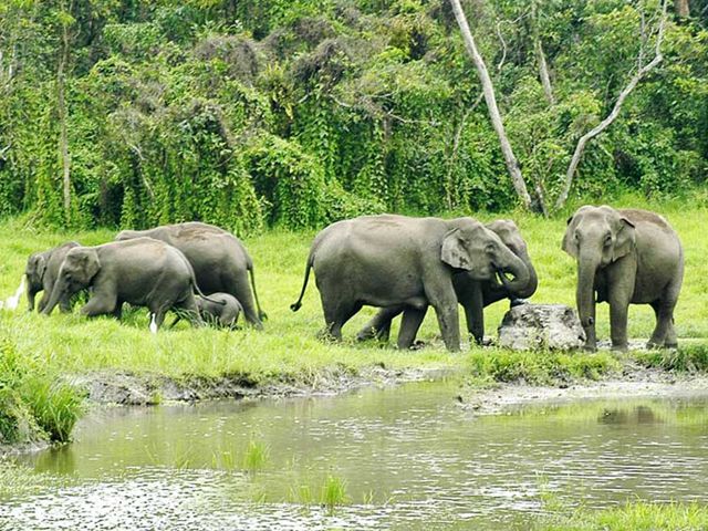Jaldhaka Dooars | Jaldhaka Hydel Project | North Bengal Tourism