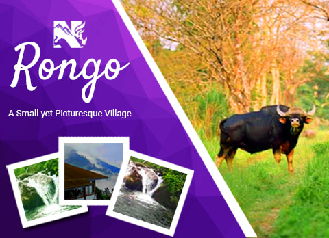 Rongo in Dooars - A Newly Discovered Offbeat Village One Must Visit