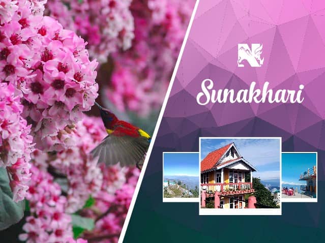 Sunakhari Village, Sunakhari Homestay Rishyap | North Bengal Tourism