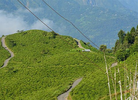 Takdah Travel Guide with Sightseeing Places and Activities