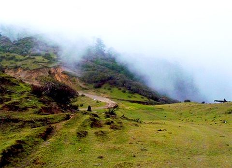 Tonglu and Tungling Darjeeling | North Bengal Tourism