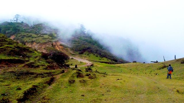 Tonglu and Tungling Darjeeling | North Bengal Tourism