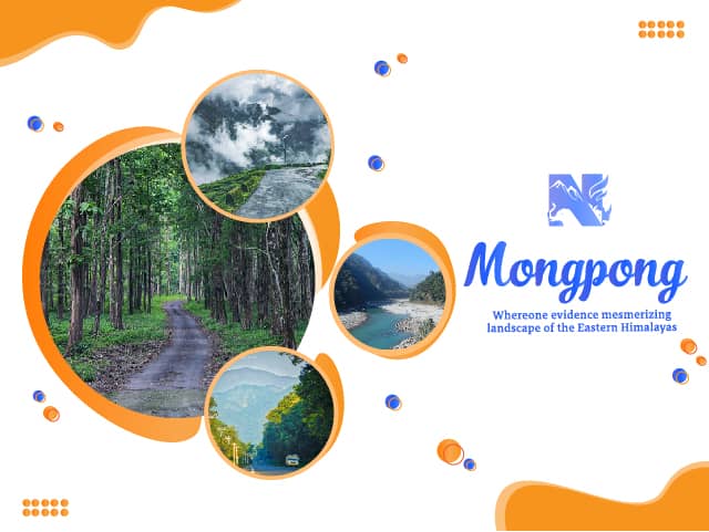 Mongpong Tour and Travel Guide | North Bengal Tourism