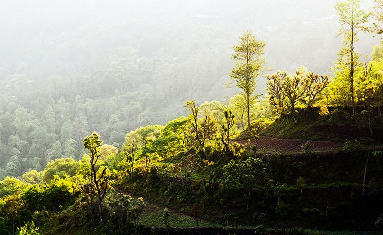 Rinchenpong (Silent valley) Sikkim, Tourist interest places in ...