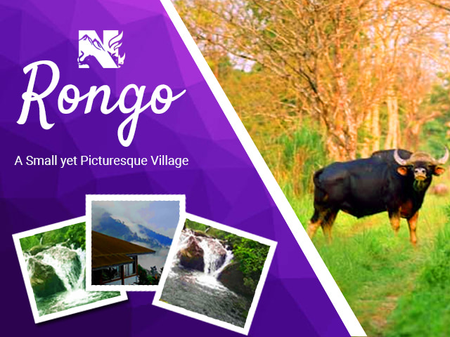 Rongo in Dooars - A Newly Discovered Offbeat Village One Must Visit