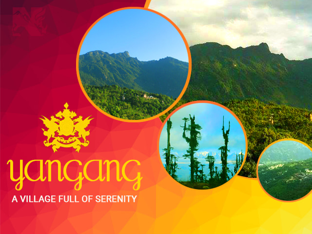 Yangang Sikkim, Things to See and Do in this Village of South Sikkim