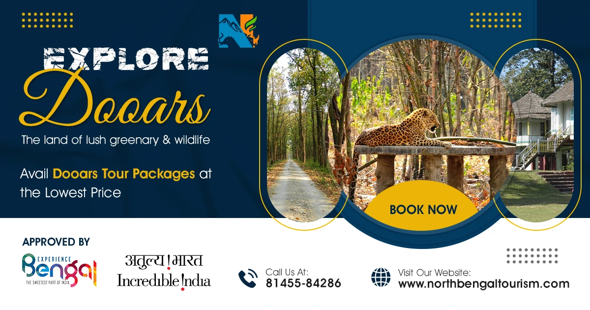 Dooars Tour Packages 2025 - Experience the Wildlife & Nature