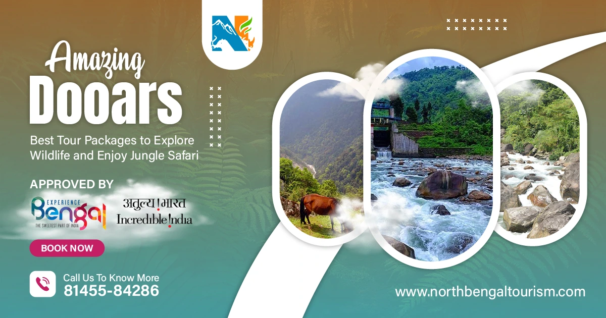 Dooars Tour Packages 2025 - Experience the Wildlife & Nature